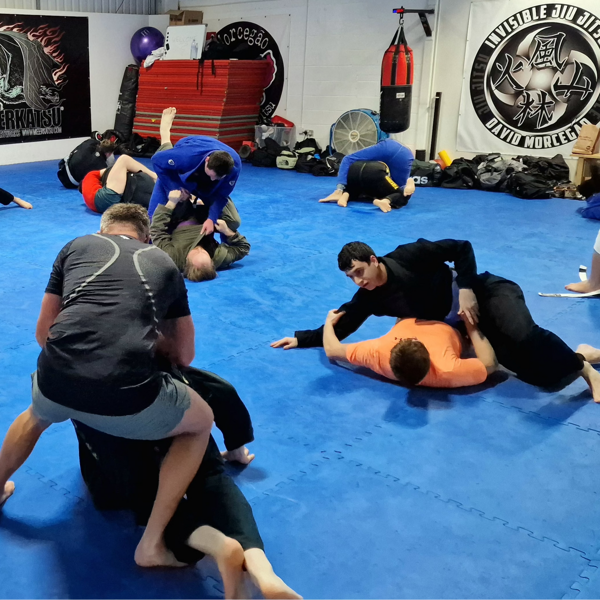 Why Start Brazilian Jiu-Jitsu? – Invisible Jiu Jitsu